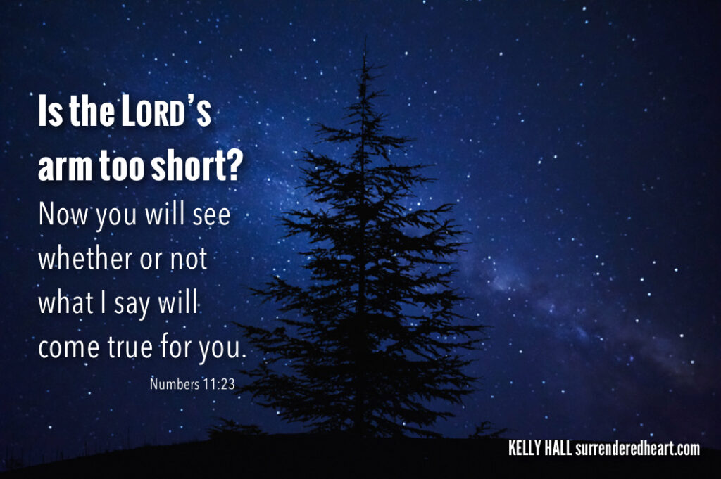 The Long Reach of God's Arm - Kelly Hall
